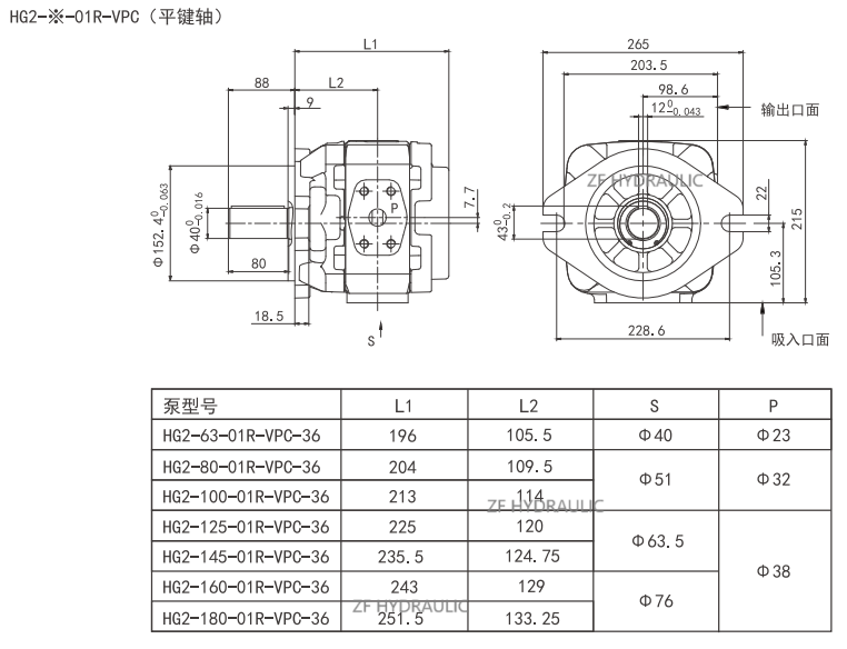 HG HG2 internal gear pump HG2-80-01R-VPC-36 HG2-100-01R-VPC-36